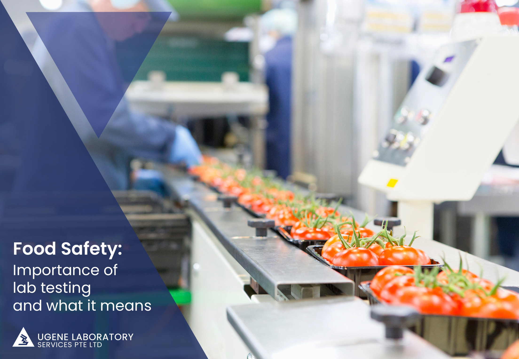 Food Safety Importance Of Lab Testing And What It Means food-safety-importance-of-lab-testing-and-what-it-means